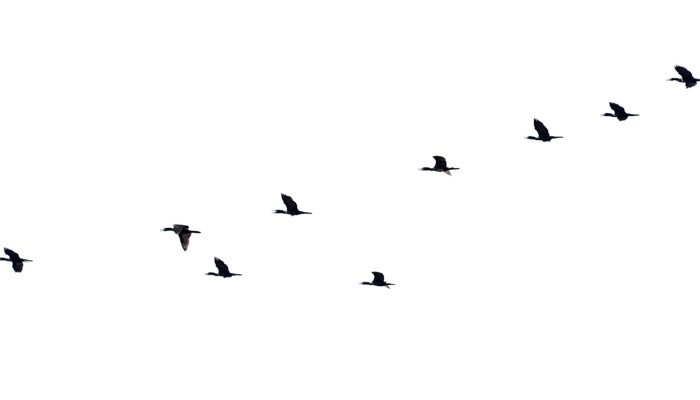 Course Finder - One Sixth Form College